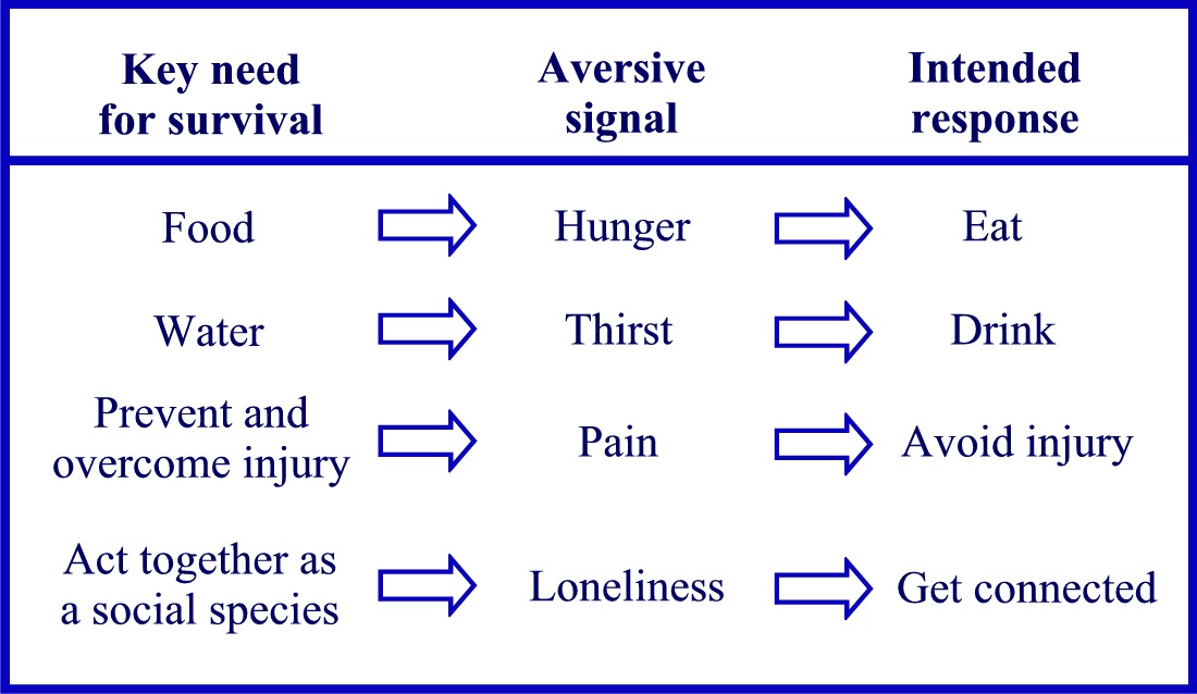 Biology of loneliness - Loneliness NZ